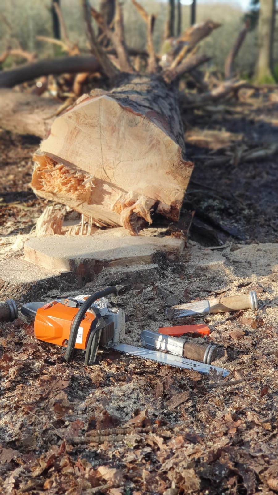 Hung Up Tree Techniques | Scott Fraser Training